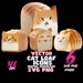 Cat Loaf Icon Logos in SVG PNG Format for Your Design Needs ...