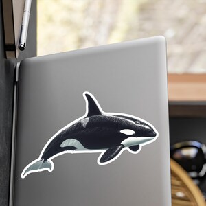 Orca Vinyl Decal: Ocean Animal Laptop Sticker - Etsy