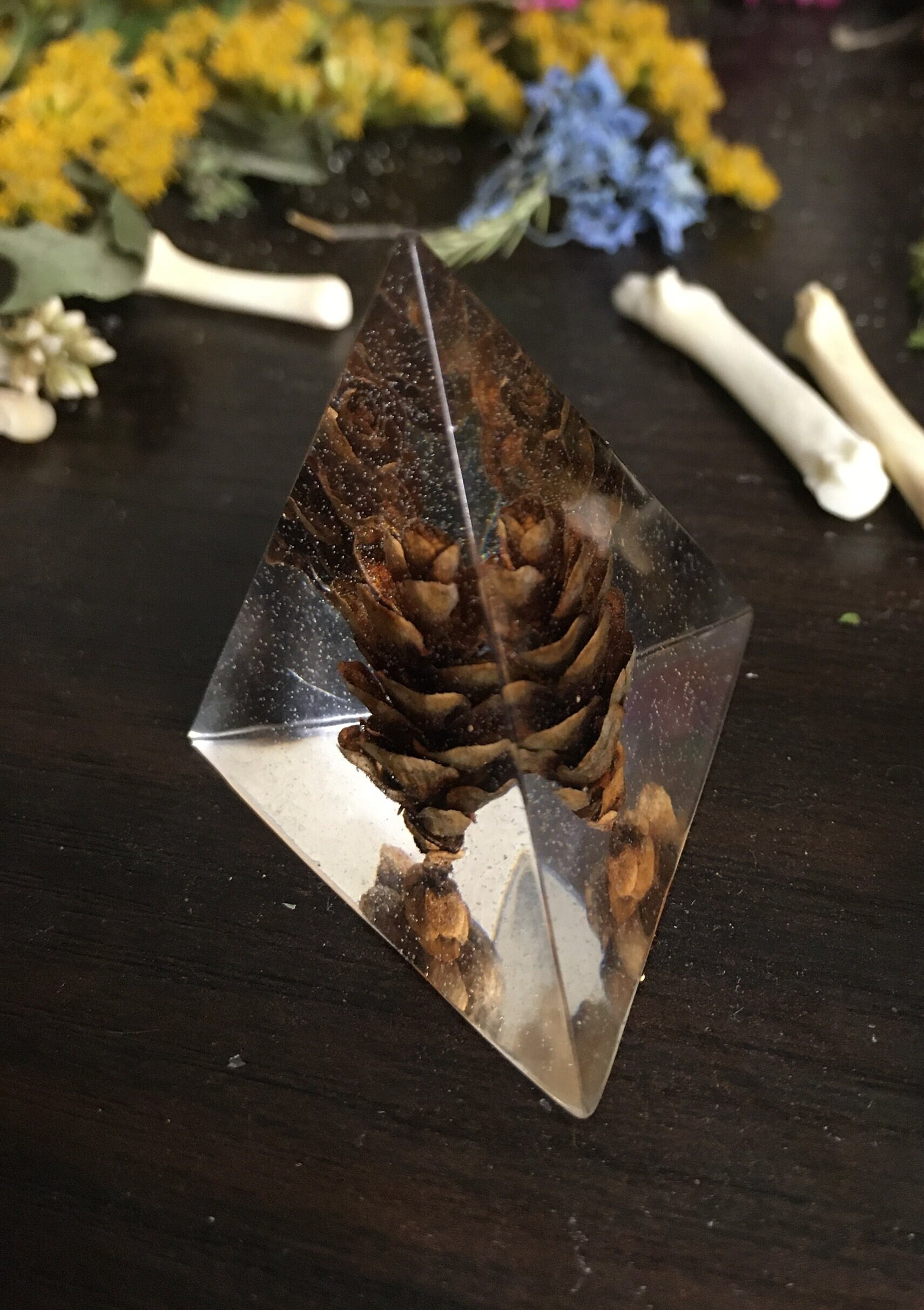 Small Resin Paperweight With Pinecone - Etsy