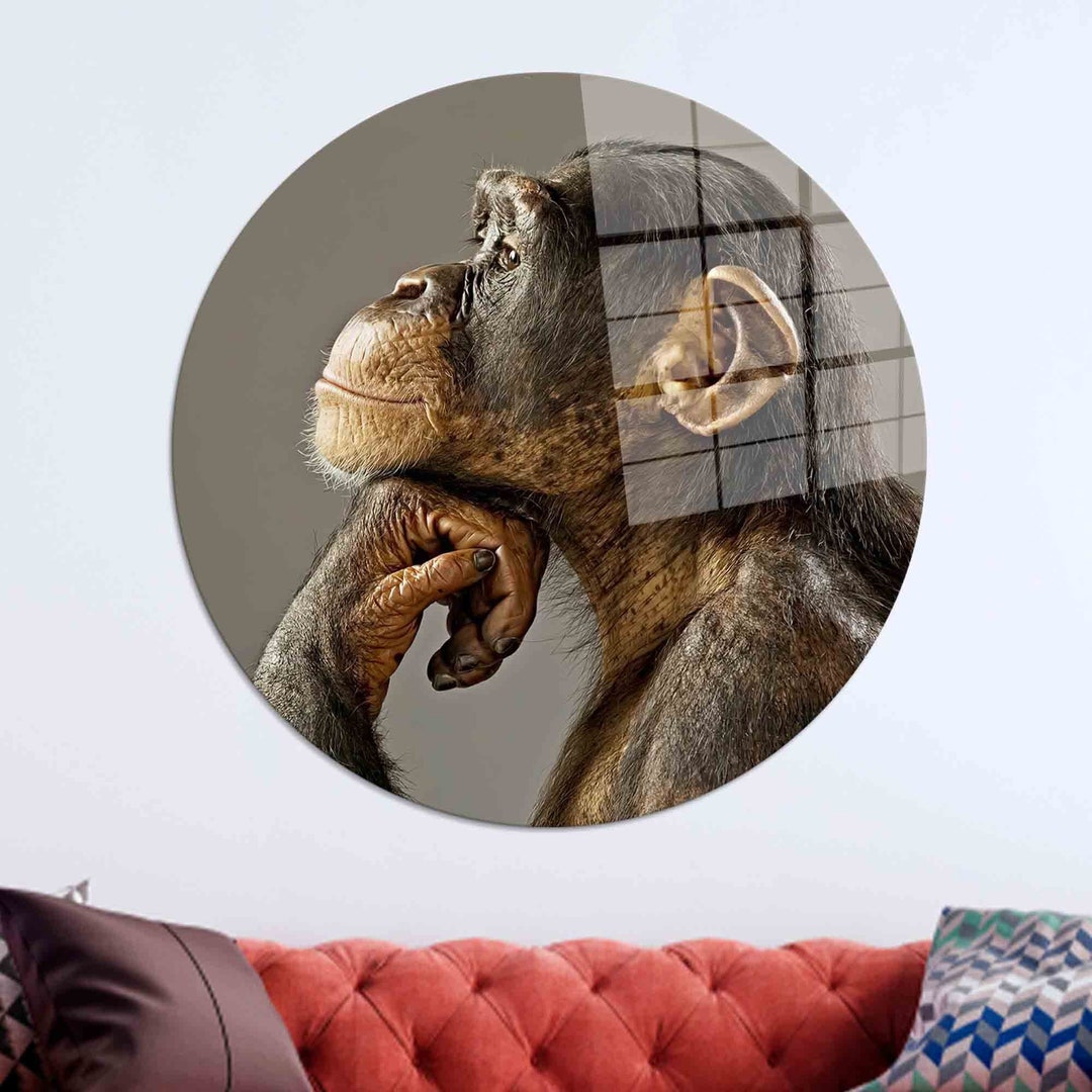 Glass Printing, Glass Wall Decor, Glass, Thinking Monkey Photo Print ...