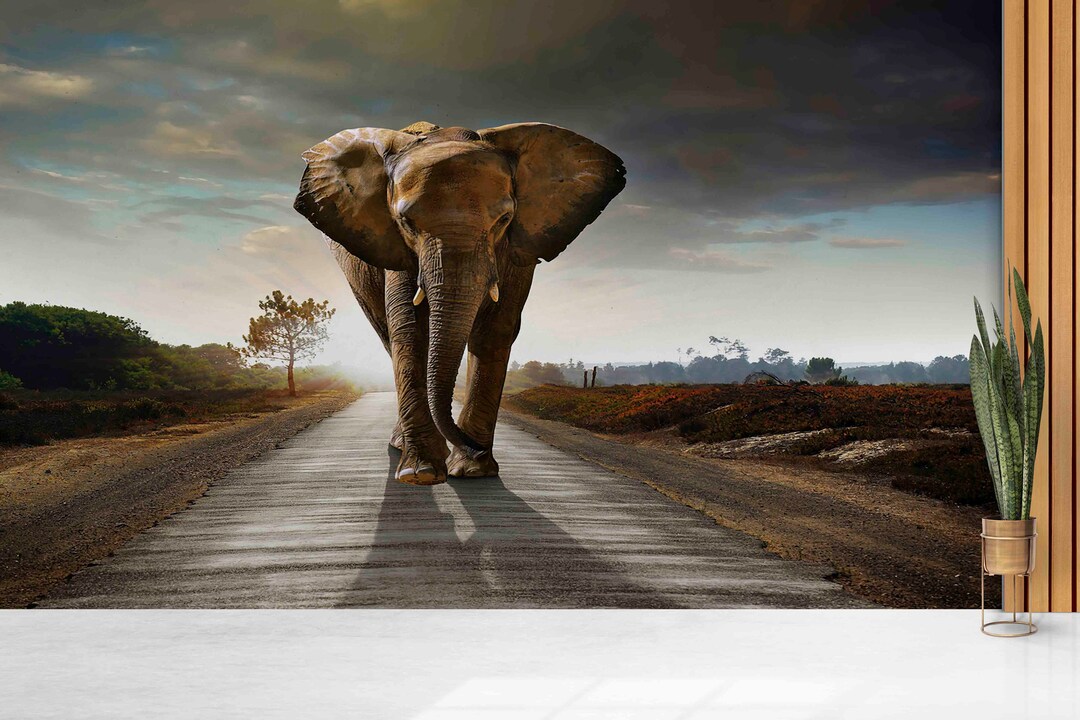 Elephant Wallpaper Mural: Wild Nature Peel and Stick Wall Art - Etsy