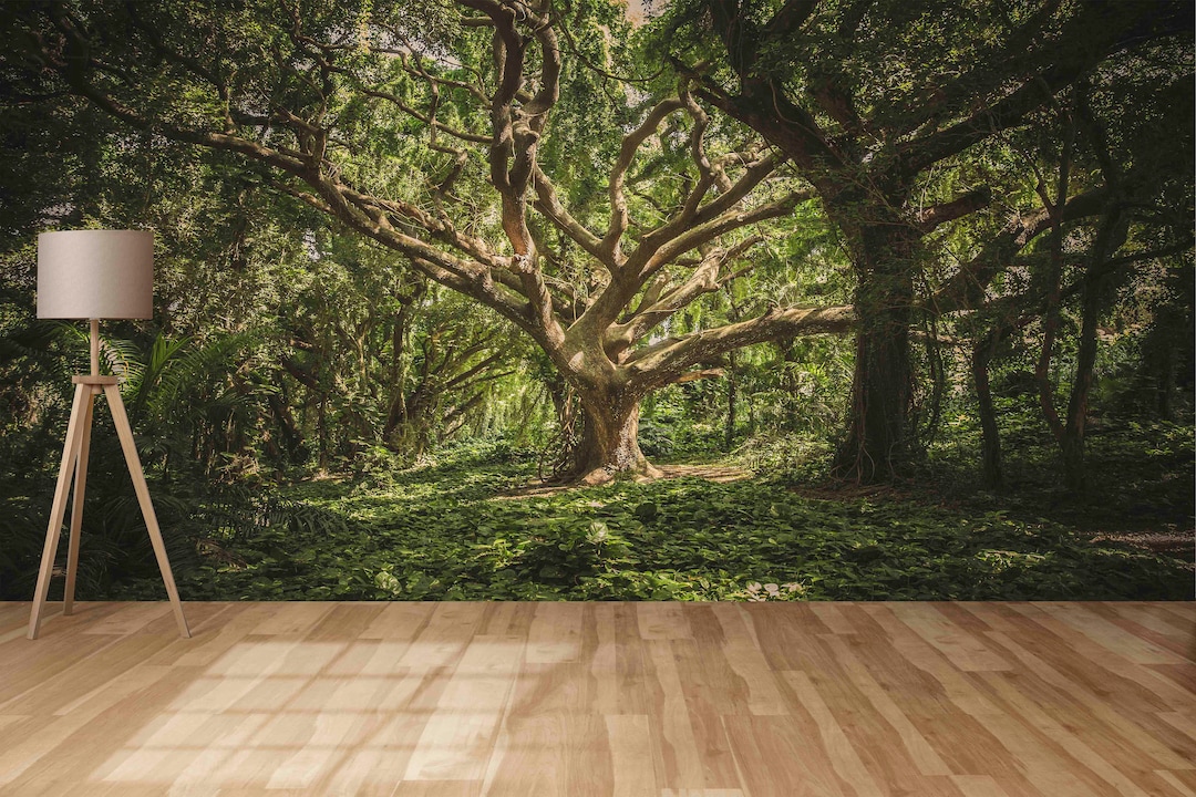 Forest Mural Wallpaper: Tree View, Peel and Stick Wall Art - Etsy