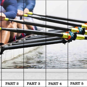 Water Sport Wall Art,3d Wall Paper,paper Wall Artwall Paper Peel and ...