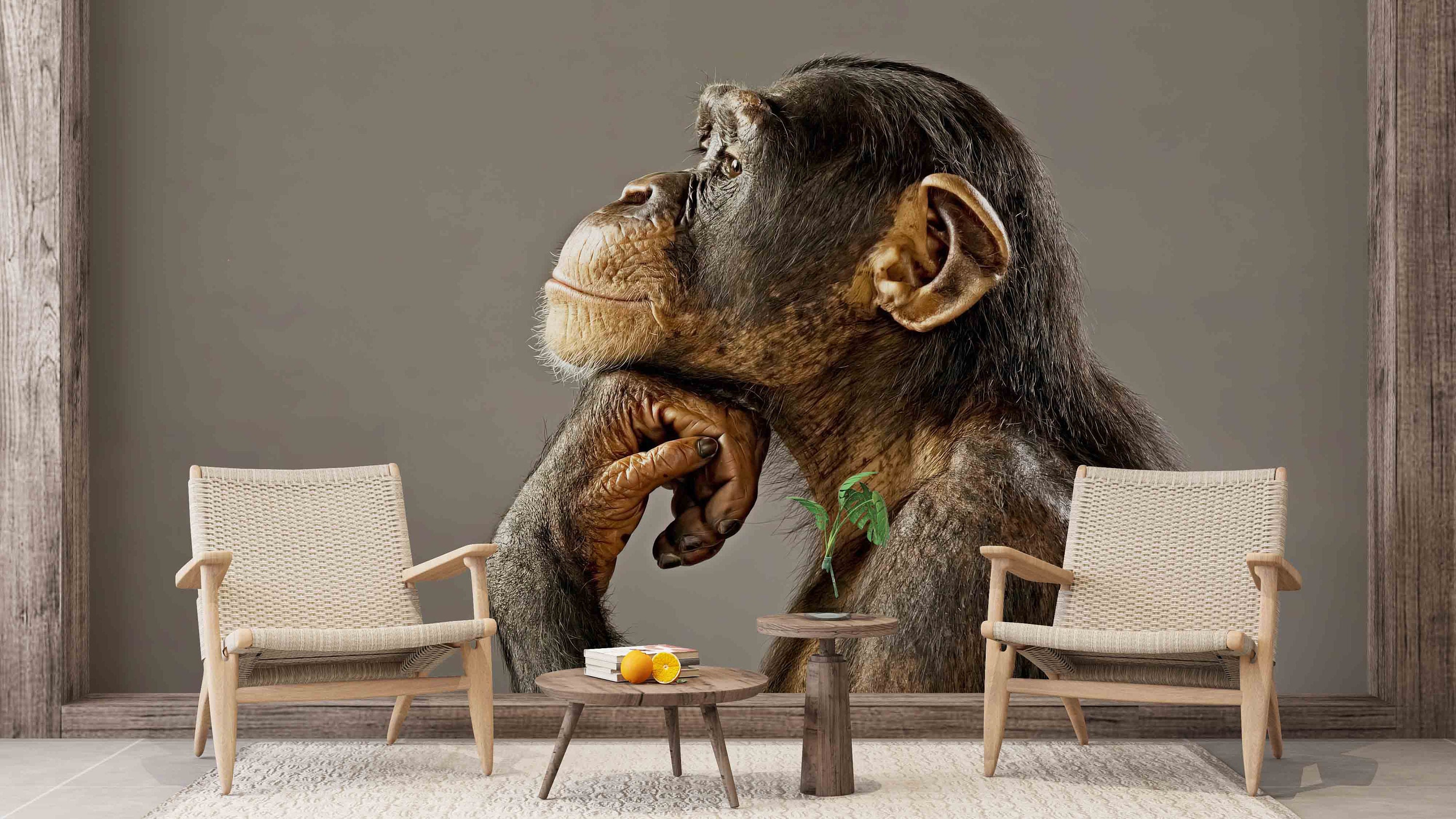 Custom Wall Paper,thinking Monkey Photo Print,wall Paper Peel and Stick ...