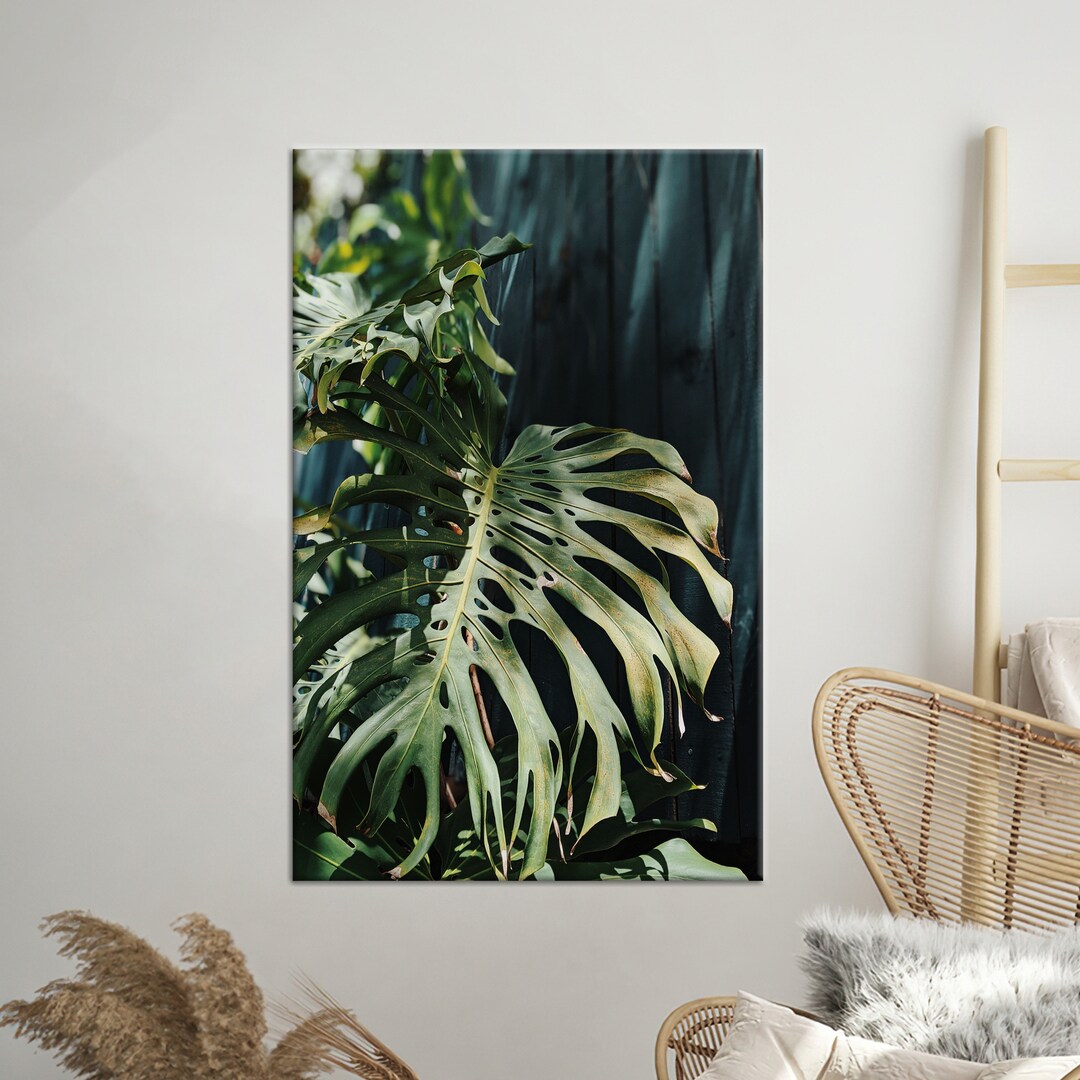 Monstera Leaf Canvas Print: Botanical Wall Art - Etsy UK