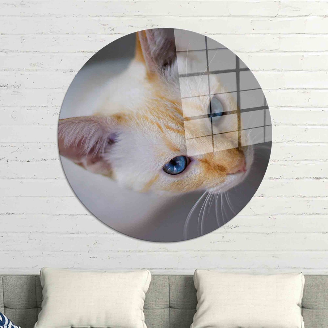 Tempered Glass, Glass Wall Decor, Wall Decor, Cat Photo Print, Cat ...
