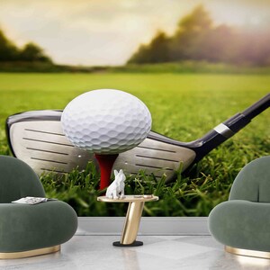 Golf Ball & Club Wall Mural - Modern Wallpaper - Etsy