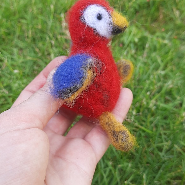 Needle Felted Parrot - Etsy