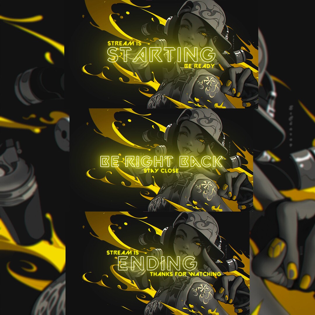 Valorant Maze Twitch und Youtube Overlay Pack - 3 Szenen- Start, BRB ...