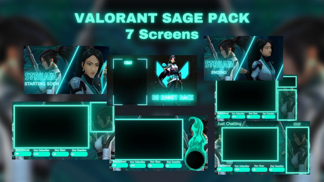 ANIMATED Valorant Sage Twitch Overlay MEGA Pack 7 Scenes - Etsy