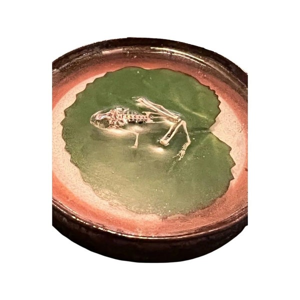 Mason Jar Frog Lid - Etsy