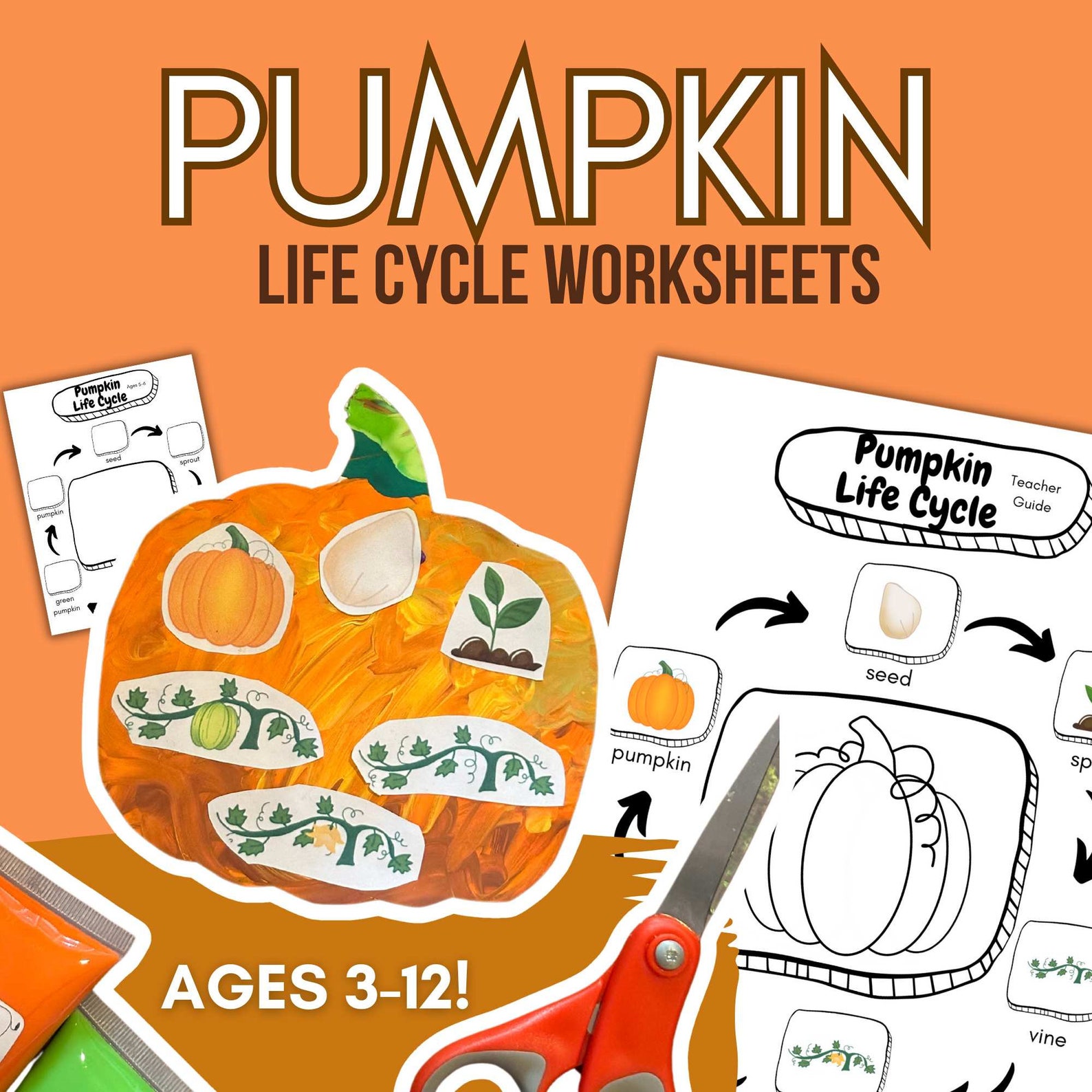 Pumpkin Life Cycle Worksheet Art: Easy Pumpkin Crafts and Activities ...