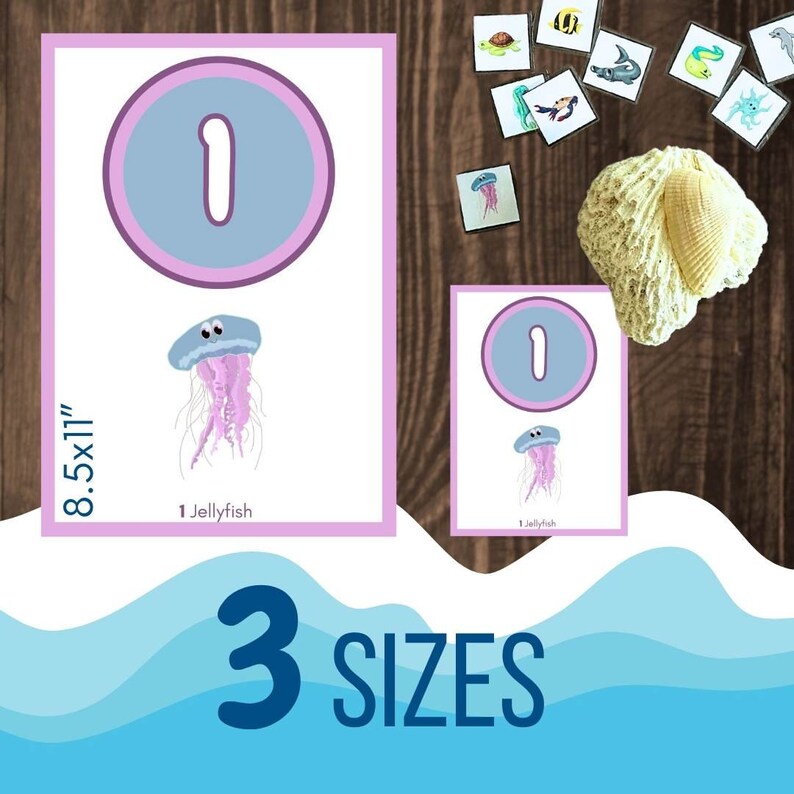 Ocean Number Flashcards With Ten Frame Activity - Etsy Australia