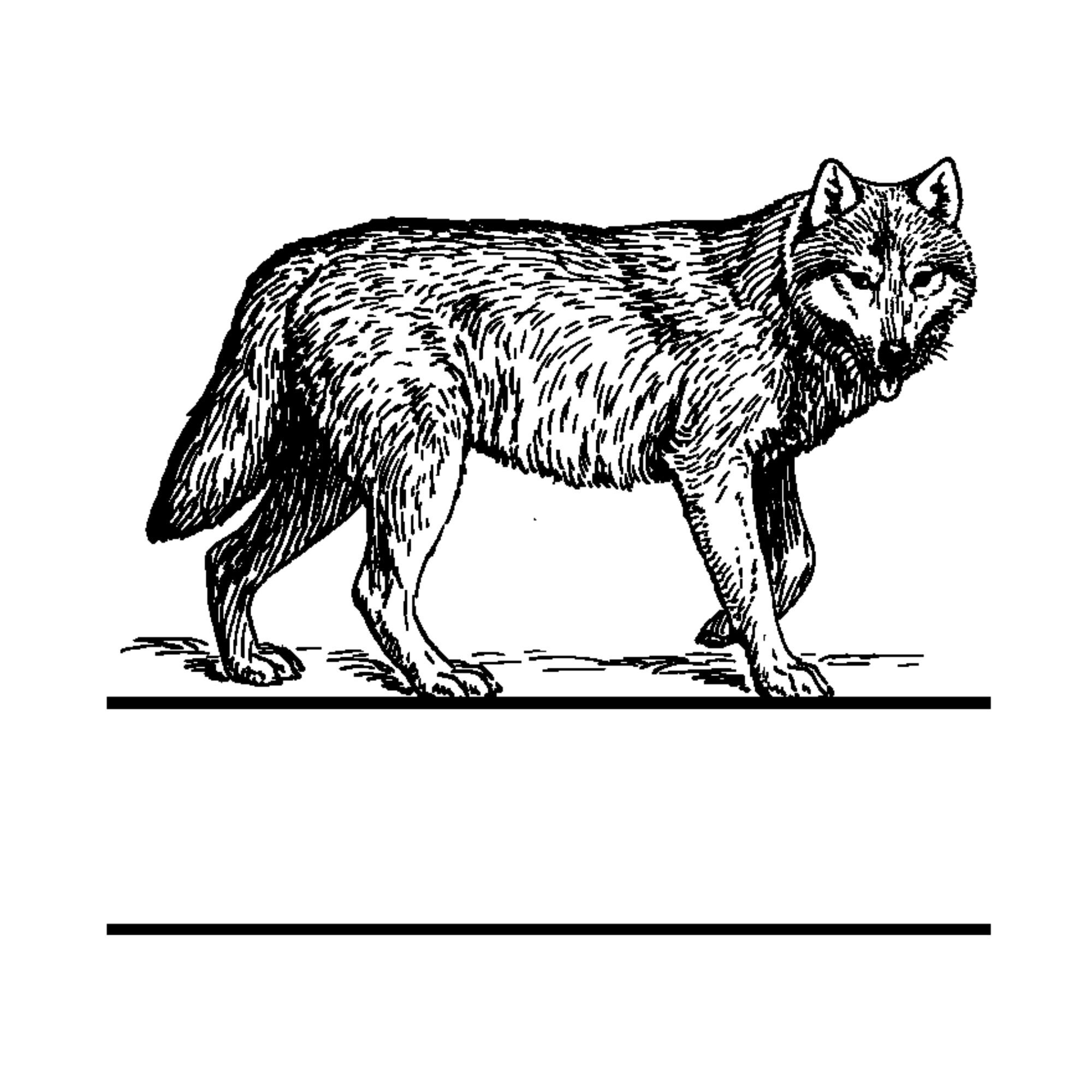 Split Monogram Wolf Drawing Silhouette Svg Dxf Png Instant Digital ...