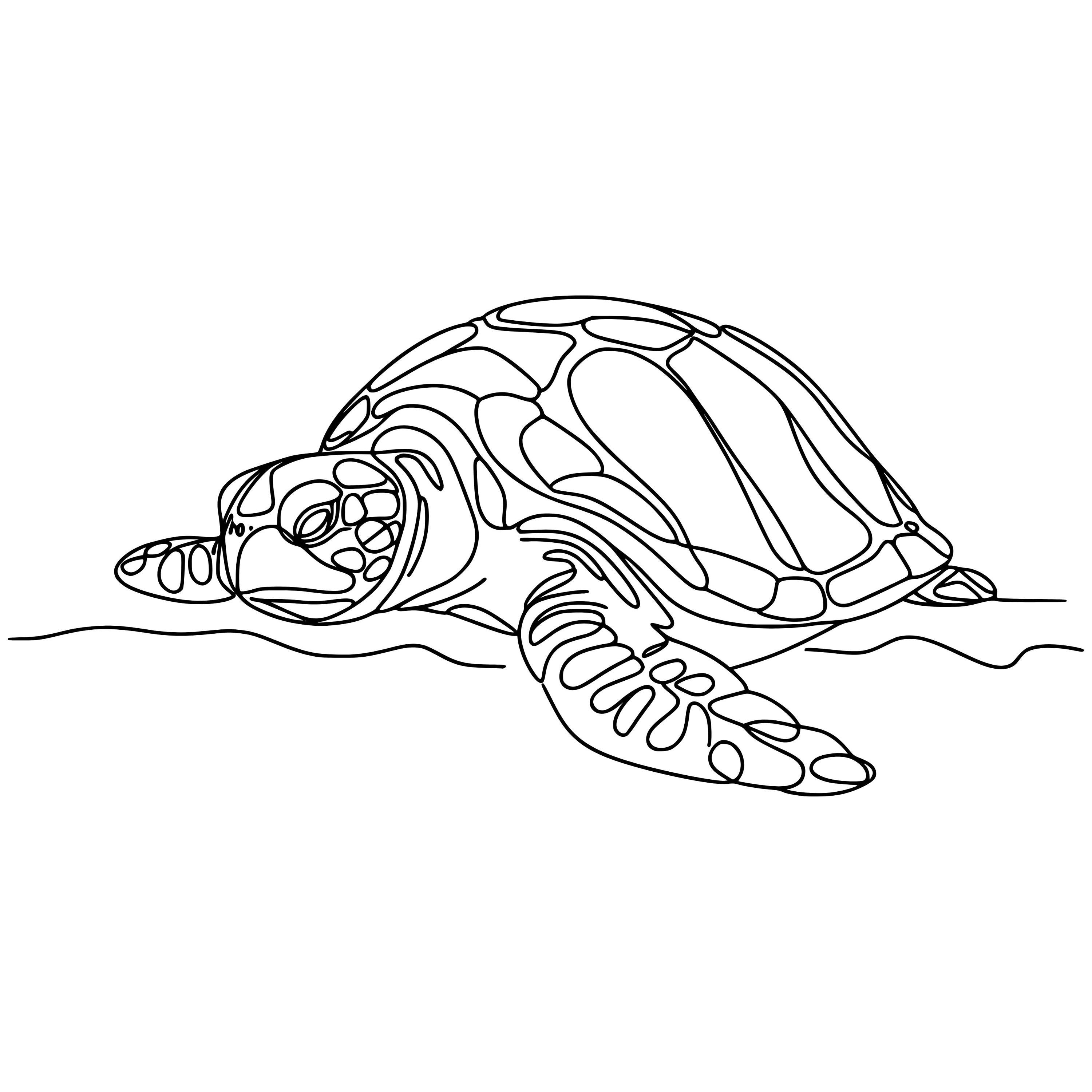 Line Art Sea Turtle Svg Png Instant Digital Download | Minimalist ...