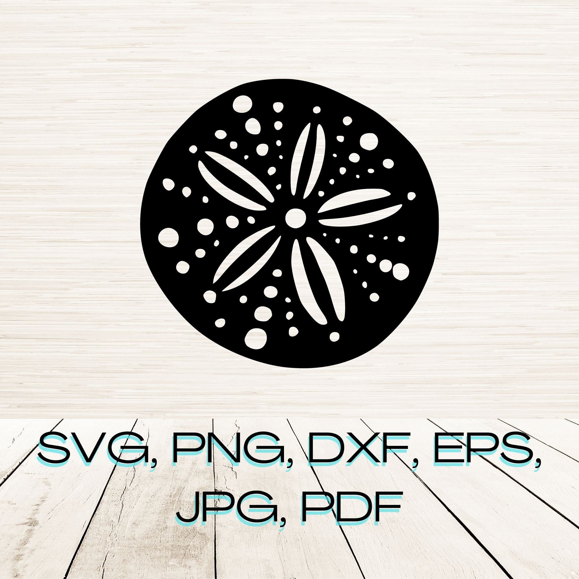 Sand Dollar Svg Png Dxf Eps Instant Digital Download Silhouette Clipart ...