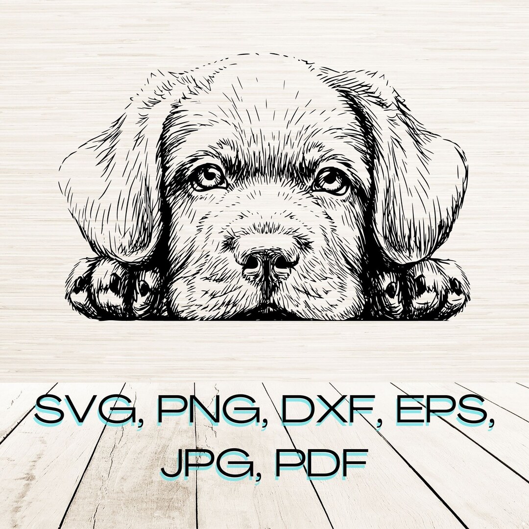Cute Labrador Retriever Svg Png Dxf Eps Jpg Pdf Instant Digital ...