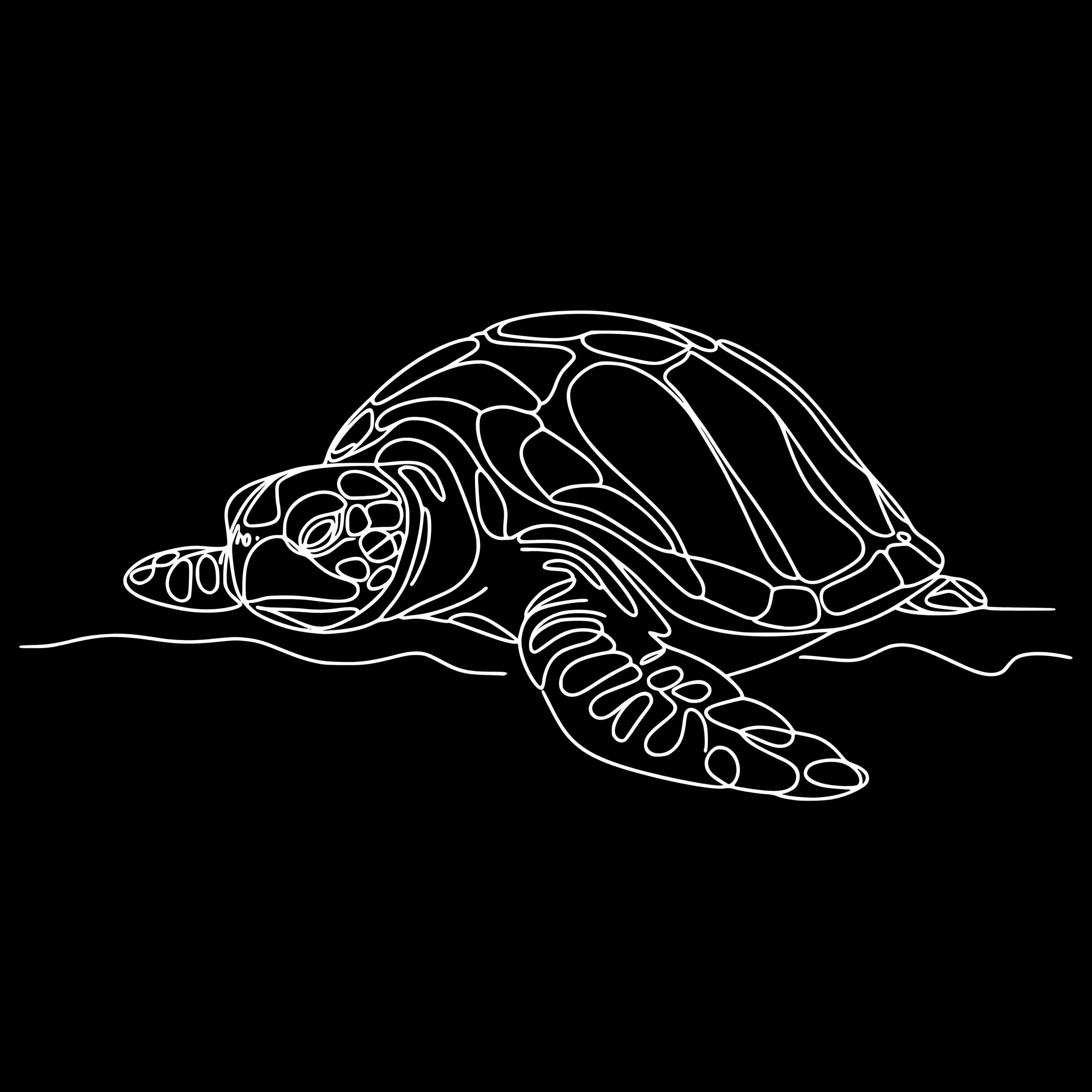 Line Art Sea Turtle Svg Png Instant Digital Download | Minimalist ...