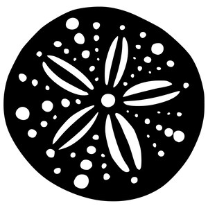 Sand Dollar Svg Png Dxf Eps Instant Digital Download | Silhouette ...