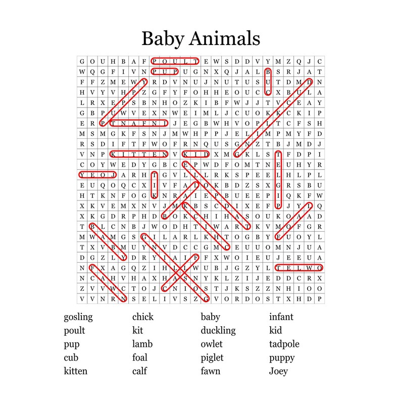 Kid's Baby Animals Word Search PDF Instant Digital - Etsy