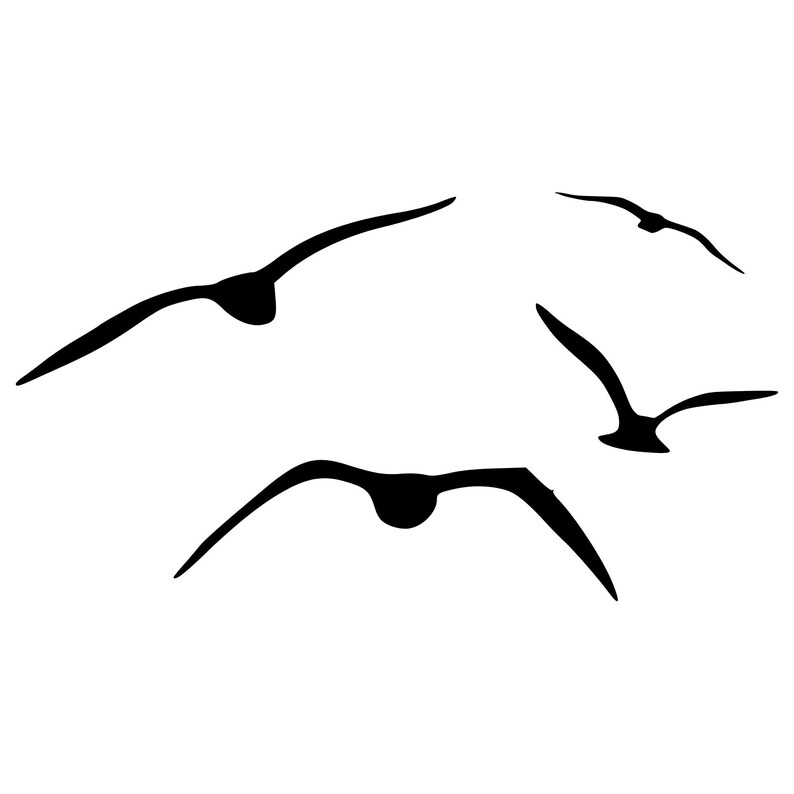 Seagull Flying Svg Dxf Eps Jpg Png Pdf Instant Digital Download ...