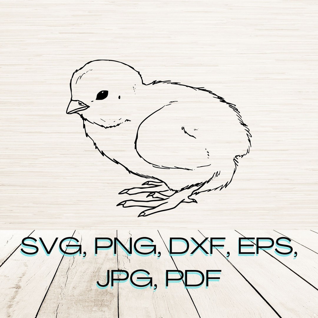 Baby Chick Svg Dxf Eps Png Jpg Pdf Instant Digital Download | Farm ...