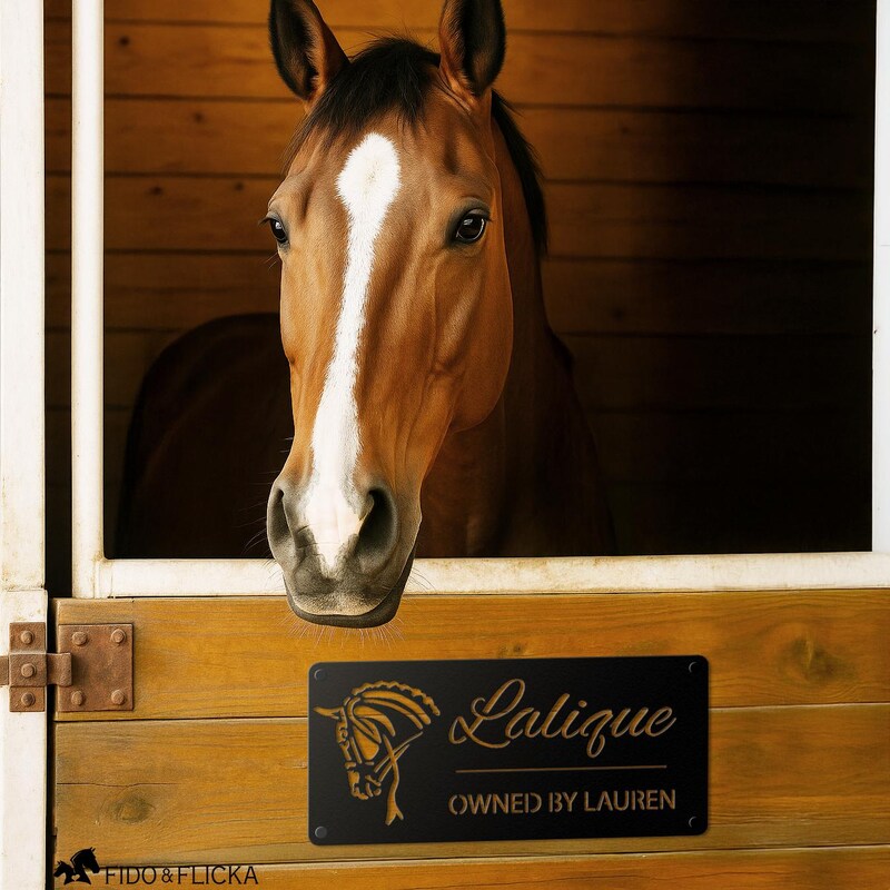 Horse Stall Signs - Etsy