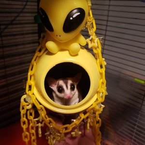 Exotic Sugar Glider Toy: Alien Trash Bin Hideaway - Etsy
