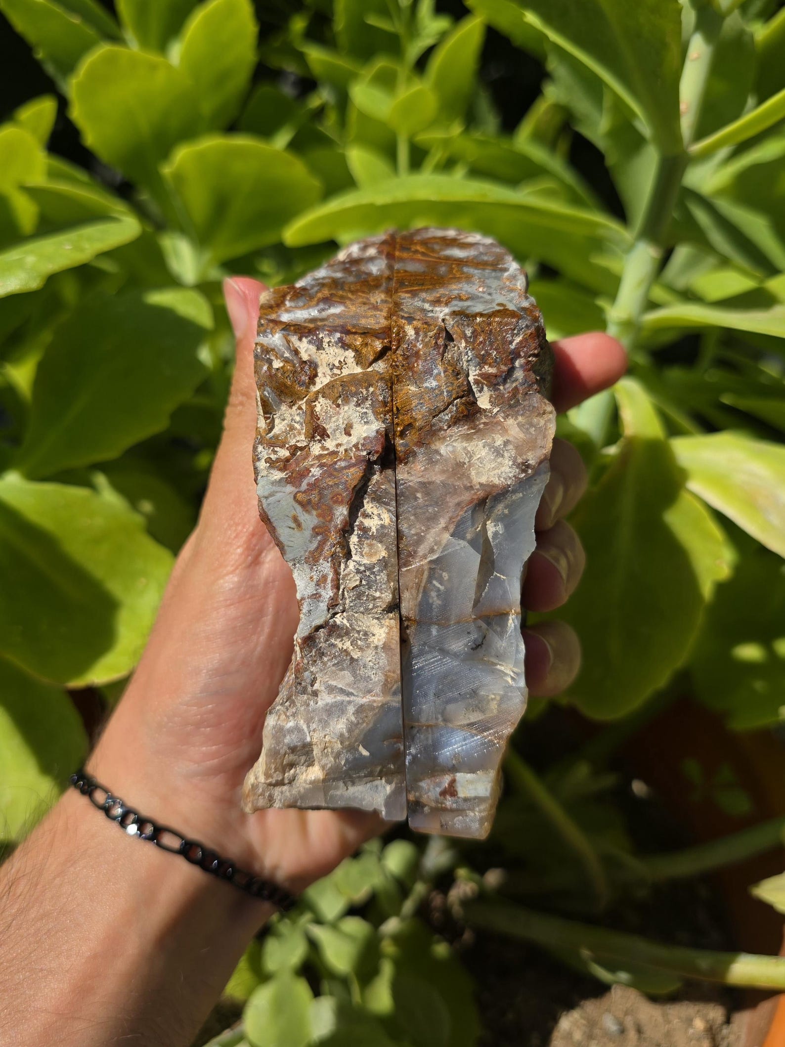 Orange Moss and Plume Agate, Rocks and Mineral, Türkei Achat, Cut and ...
