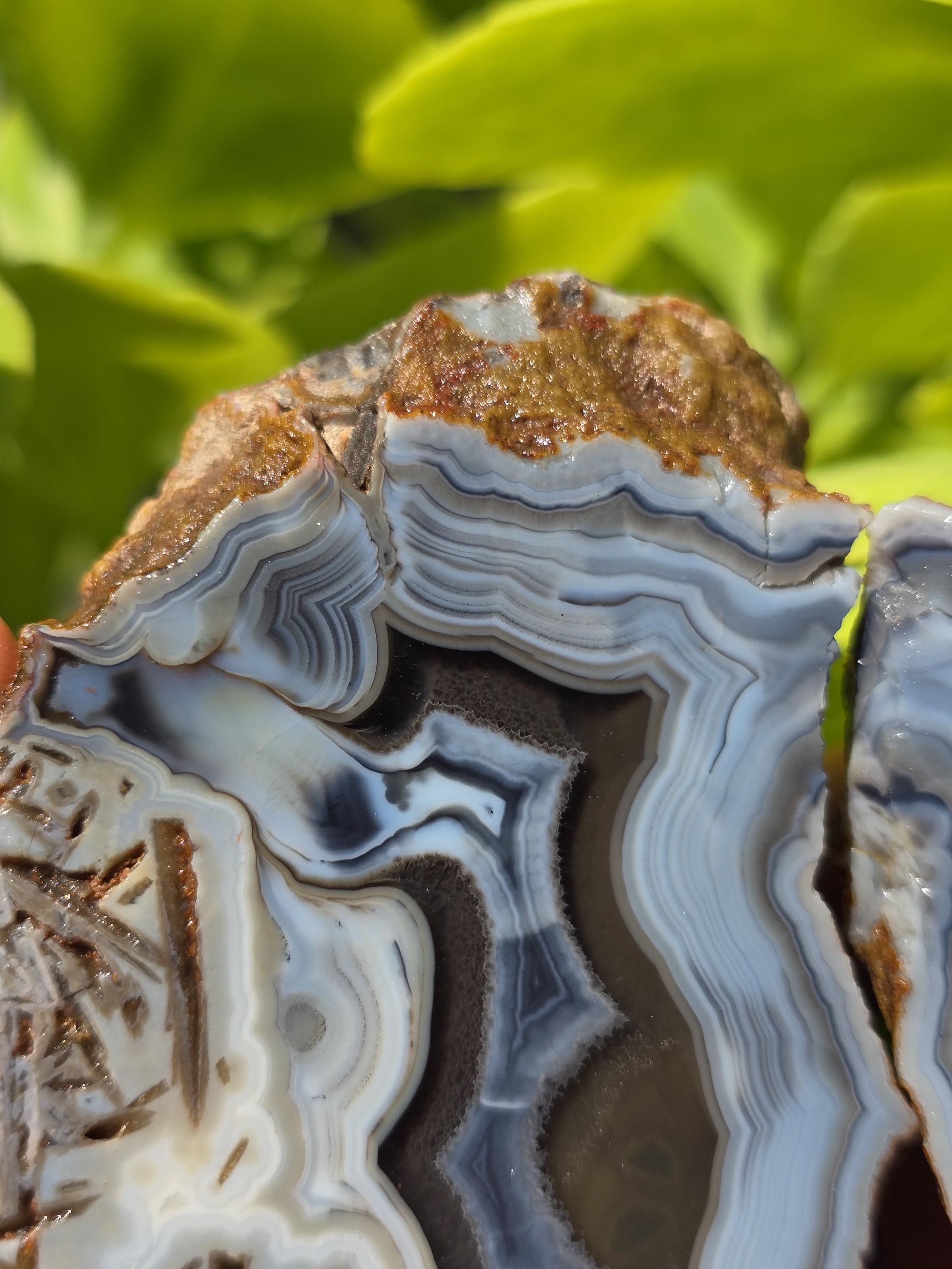 Blue Banded and Sagenite Agate, Fortification Agate, Rocks and Minerals ...