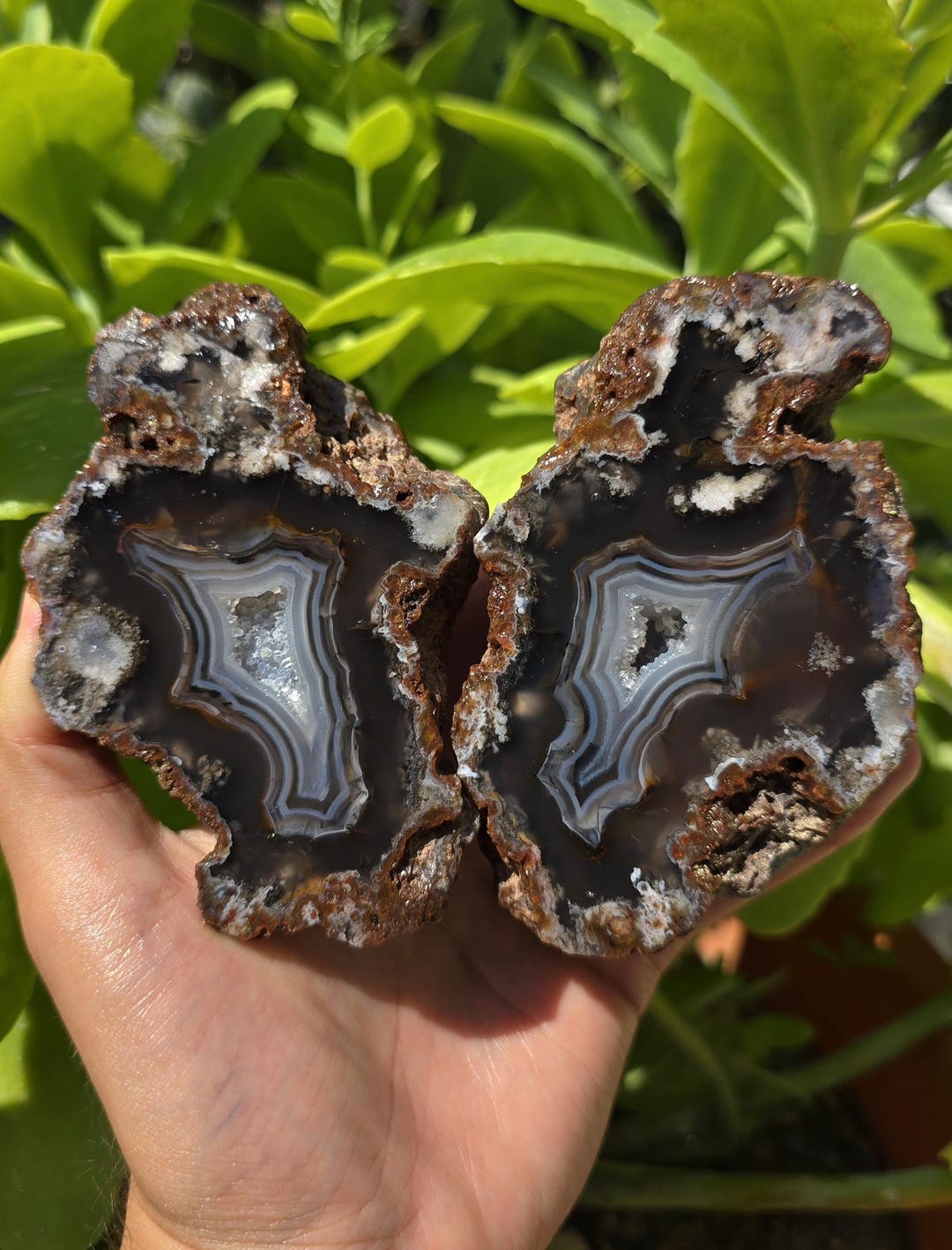 Blue Banded and Druzy Geode and Flower Agate, Turkish Agate ...