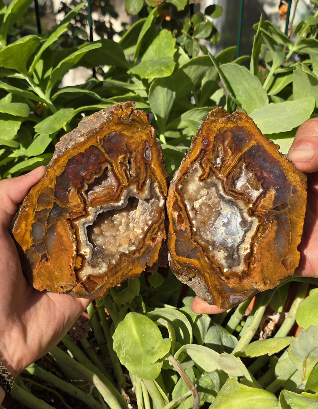 Banded and Botryoidal Geode Agate Pair, Moss and Druzy Agate, Turkish ...