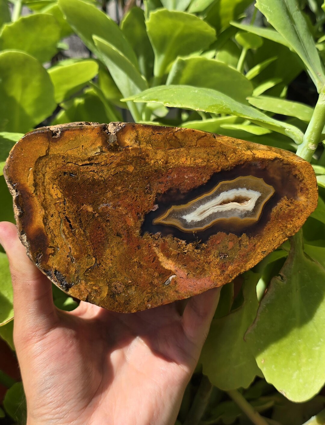 Orange Moss and Mini Geode Banded Agate, Rocks and Mineral, Türkei ...