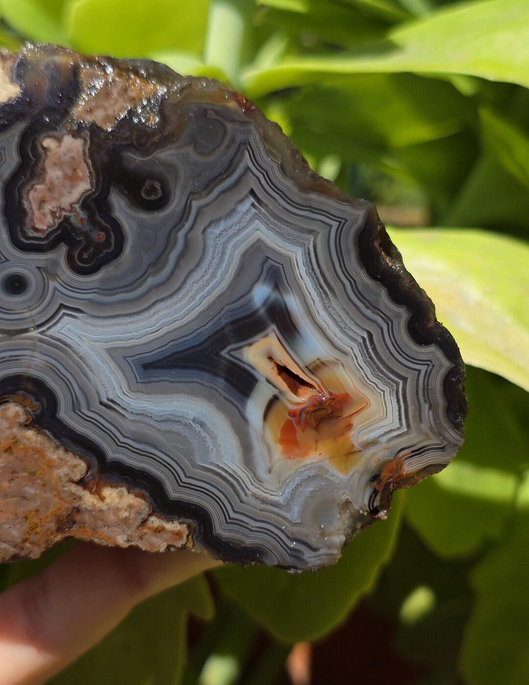 Unique Gray, Black and Blue Banded Eye Agate, Blue, White Agate ...