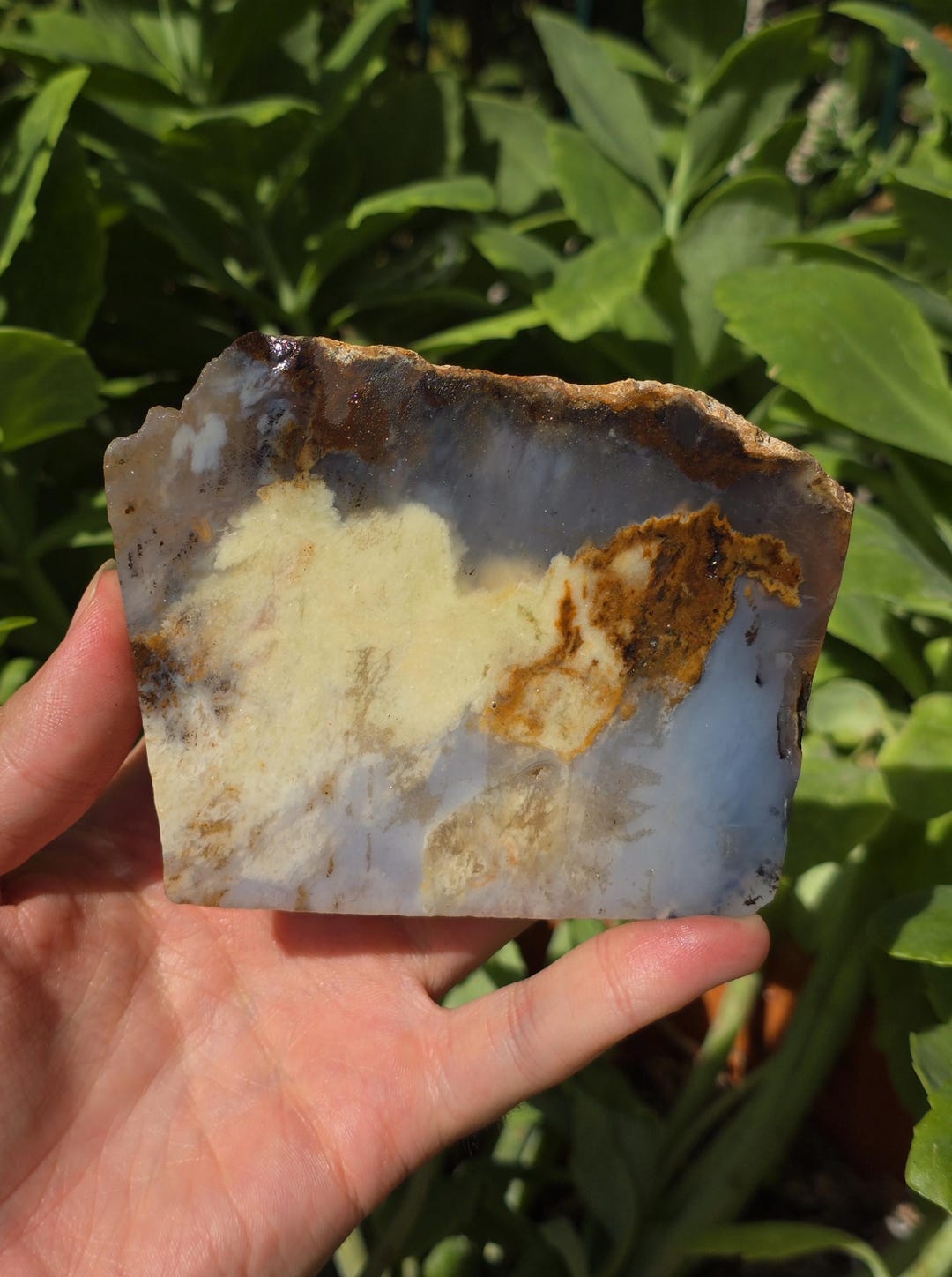 Blue and White Banded and Moss Turkish Chalcedony Agate, Metaphysical ...
