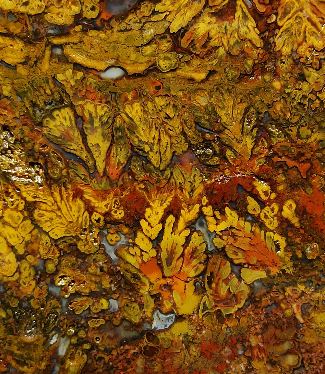 Natural Raw Agate, Moss and Flower Agate, 18 Pieces Agate, Dendritic ...