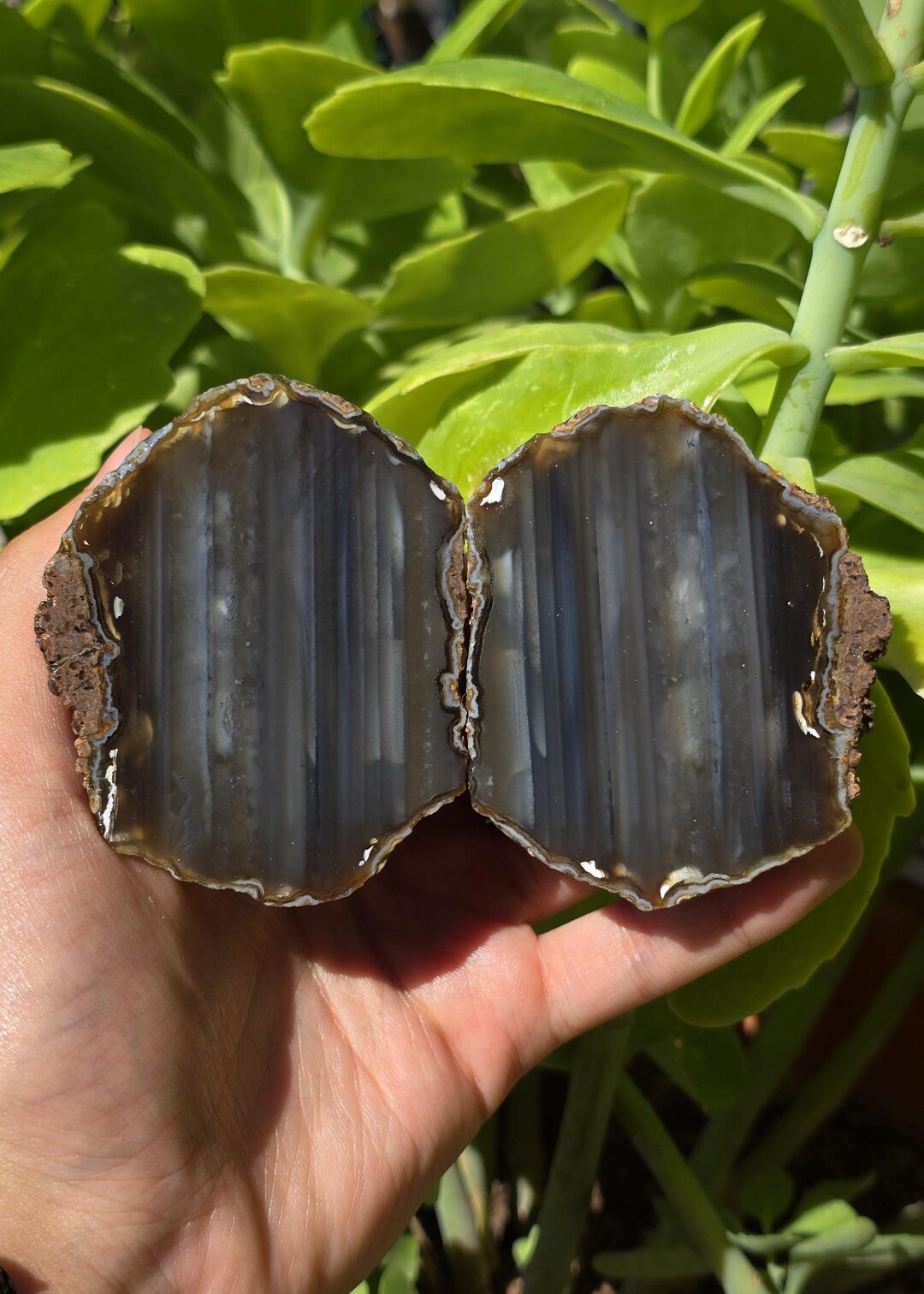 Blue and White Ocean Waterline Turkish Agate Pair, Metaphysical ...