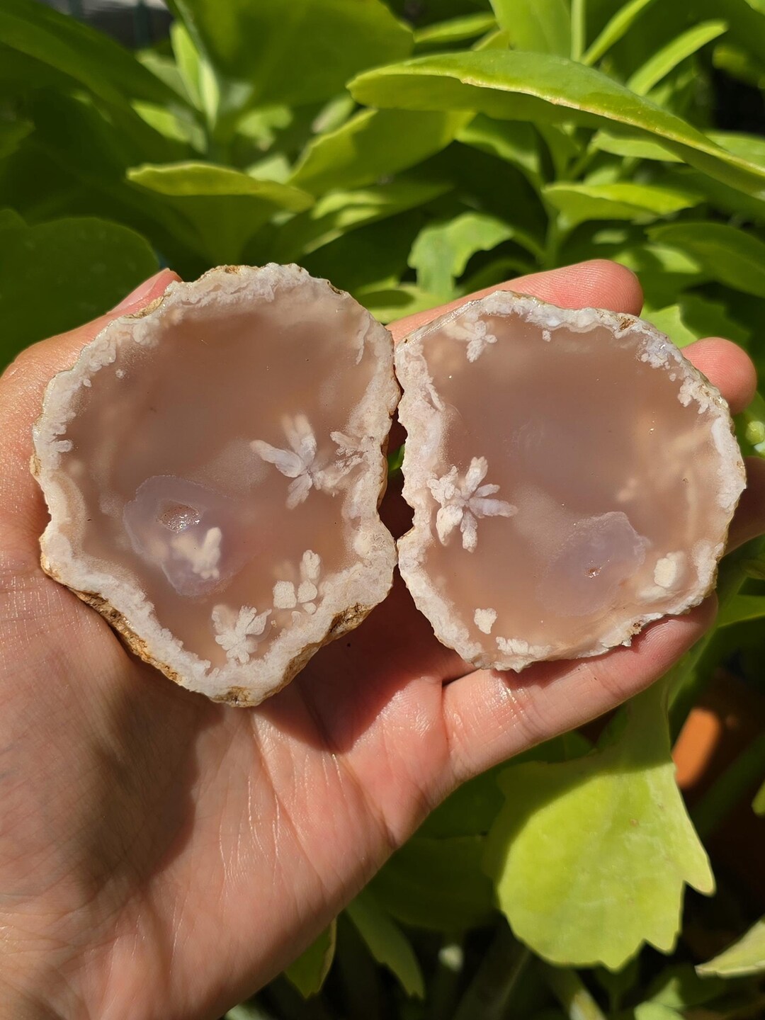Pink Flower and Snowflake Agate Pair, Banded Cut and Polished Turkish ...