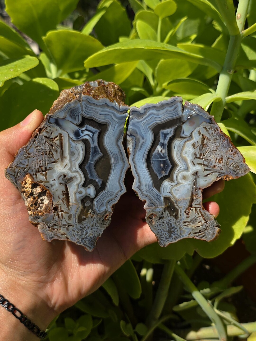 Blue Banded and Sagenite Agate, Fortification Agate, Rocks and Minerals ...