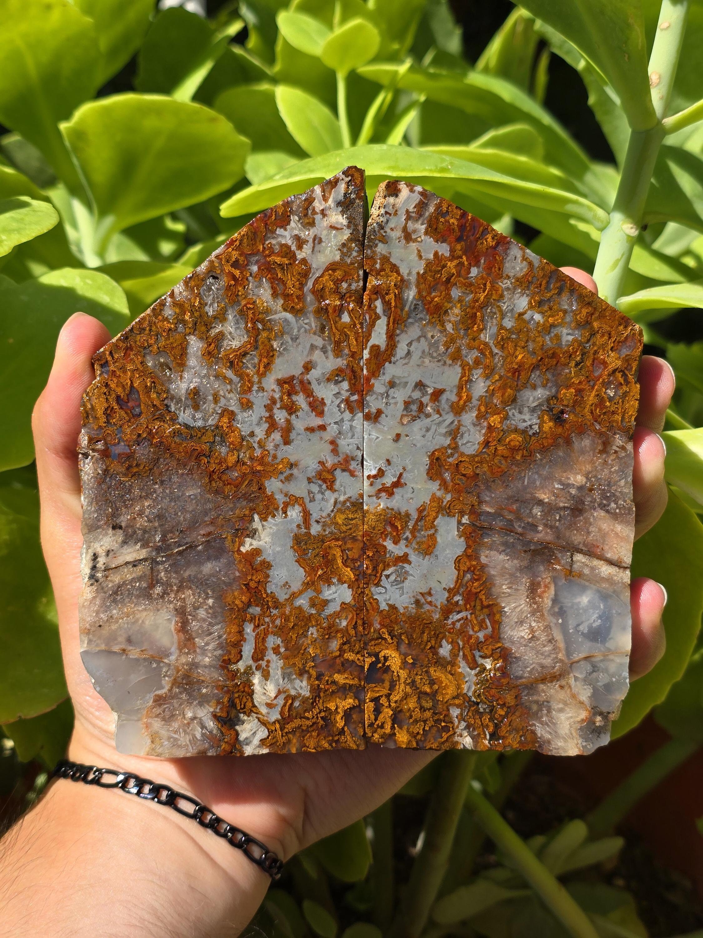 Orange Moss and Plume Agate, Rocks and Mineral, Türkei Achat, Cut and ...