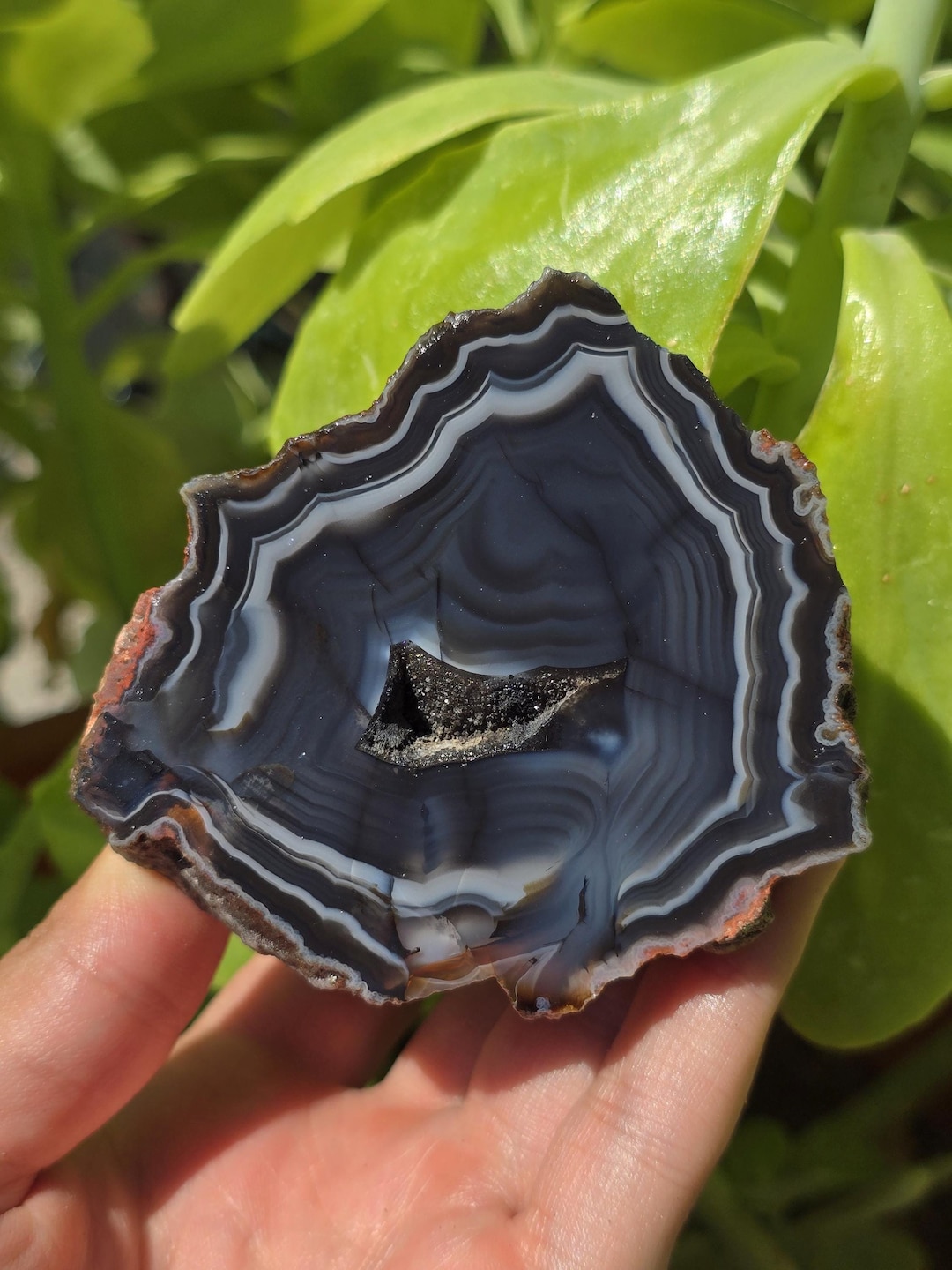 Blue Banded and Mini Geode Agate, Blue, White Agate, Polished Agate ...