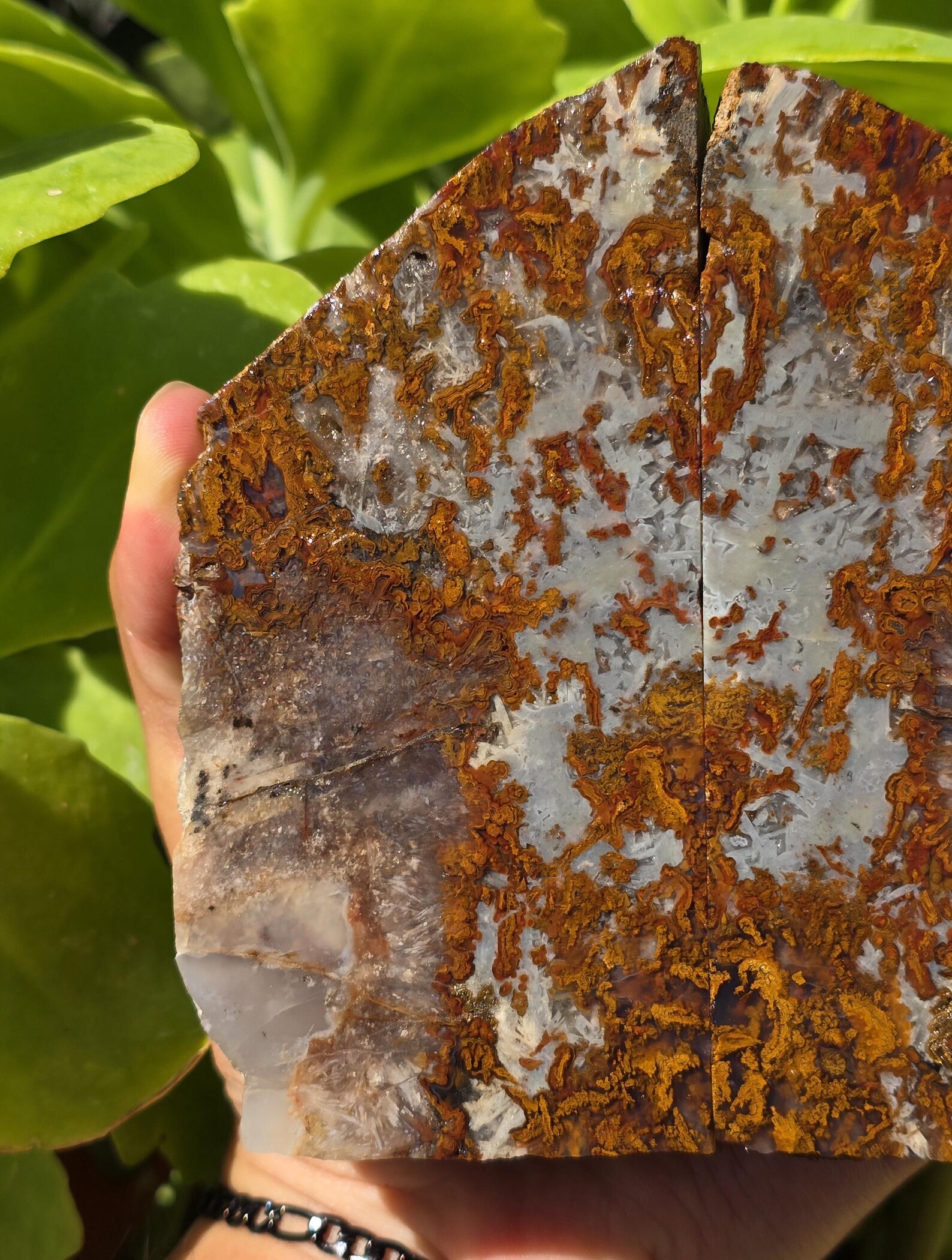 Orange Moss and Plume Agate, Rocks and Mineral, Türkei Achat, Cut and ...