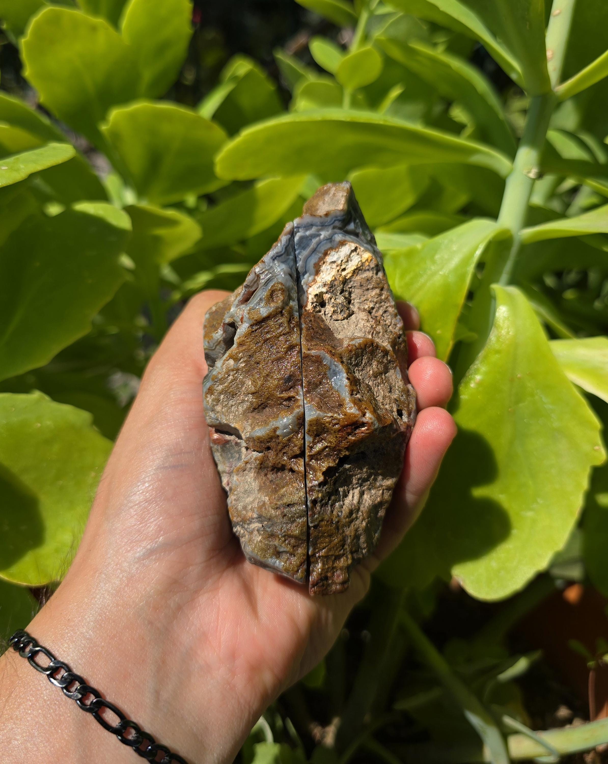 Blue Banded and Sagenite Agate, Fortification Agate, Rocks and Minerals ...