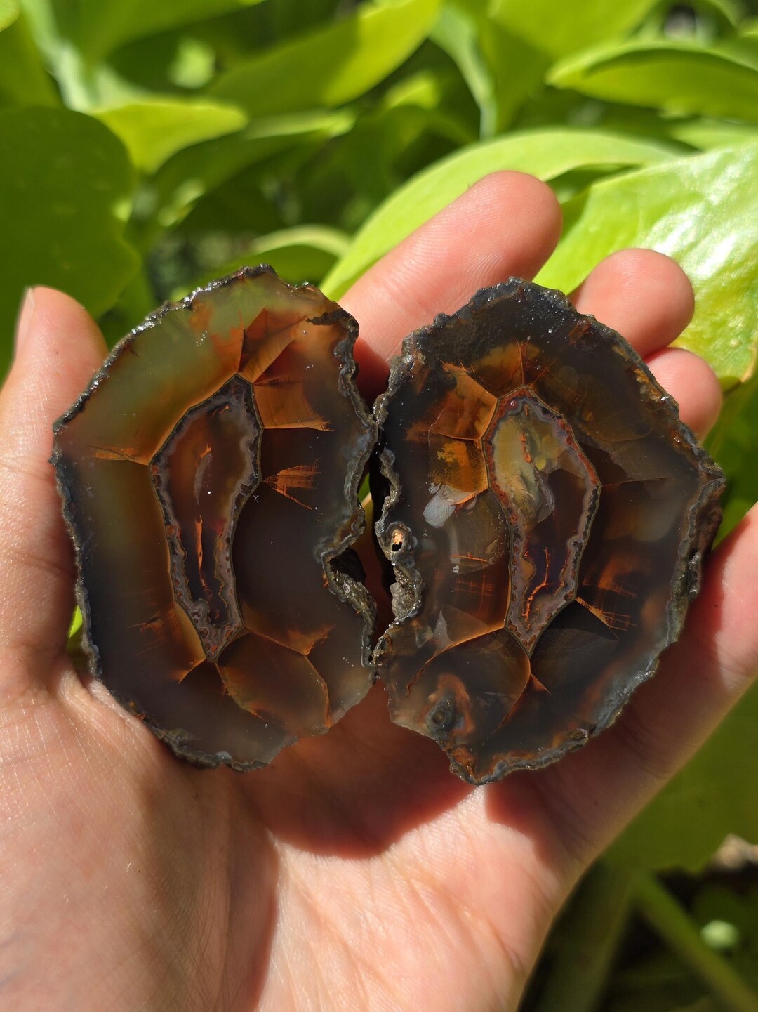 Fish View Stone, Red Banded Agate, Metaphysical Crystals, Polished ...