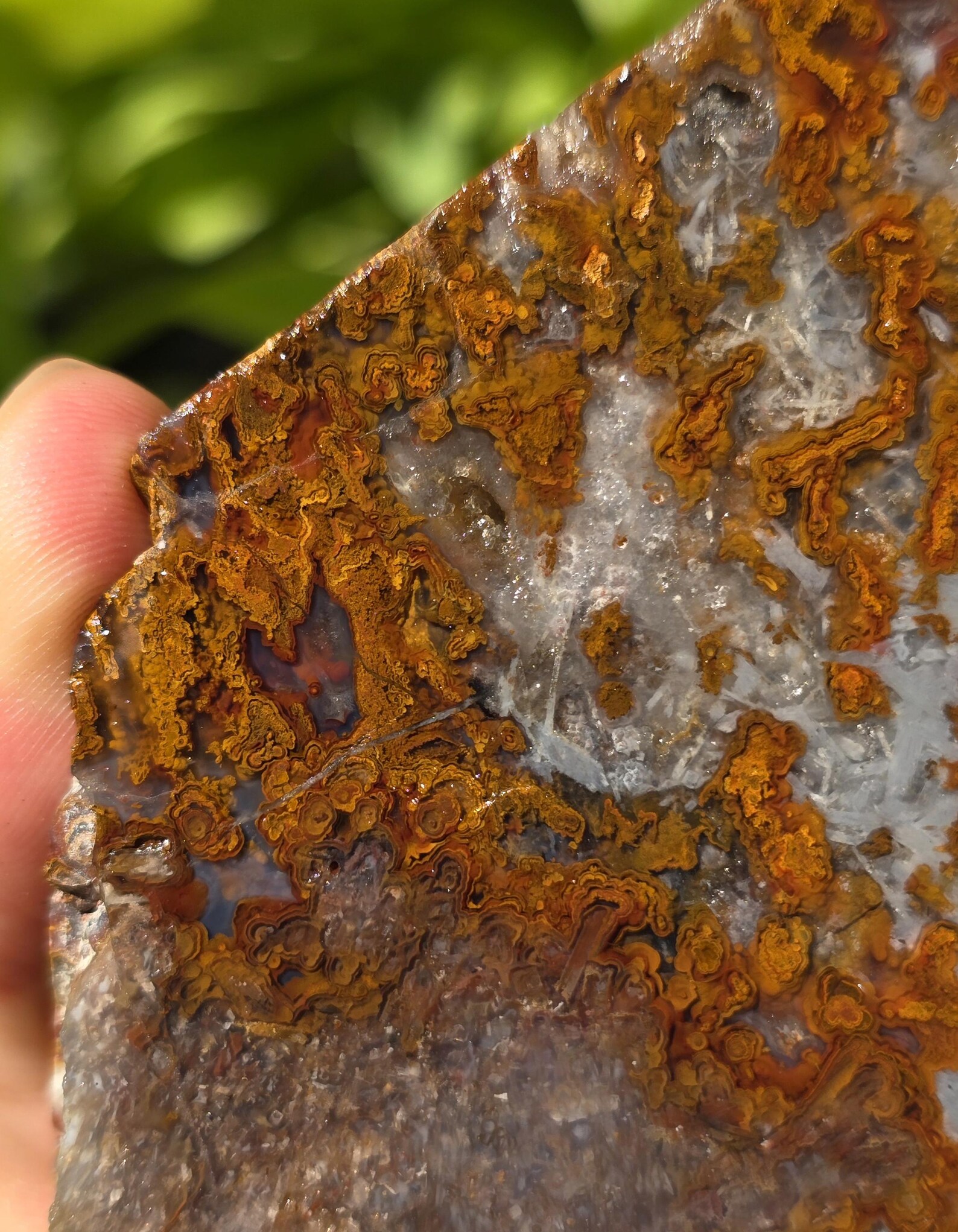 Orange Moss and Plume Agate, Rocks and Mineral, Türkei Achat, Cut and ...