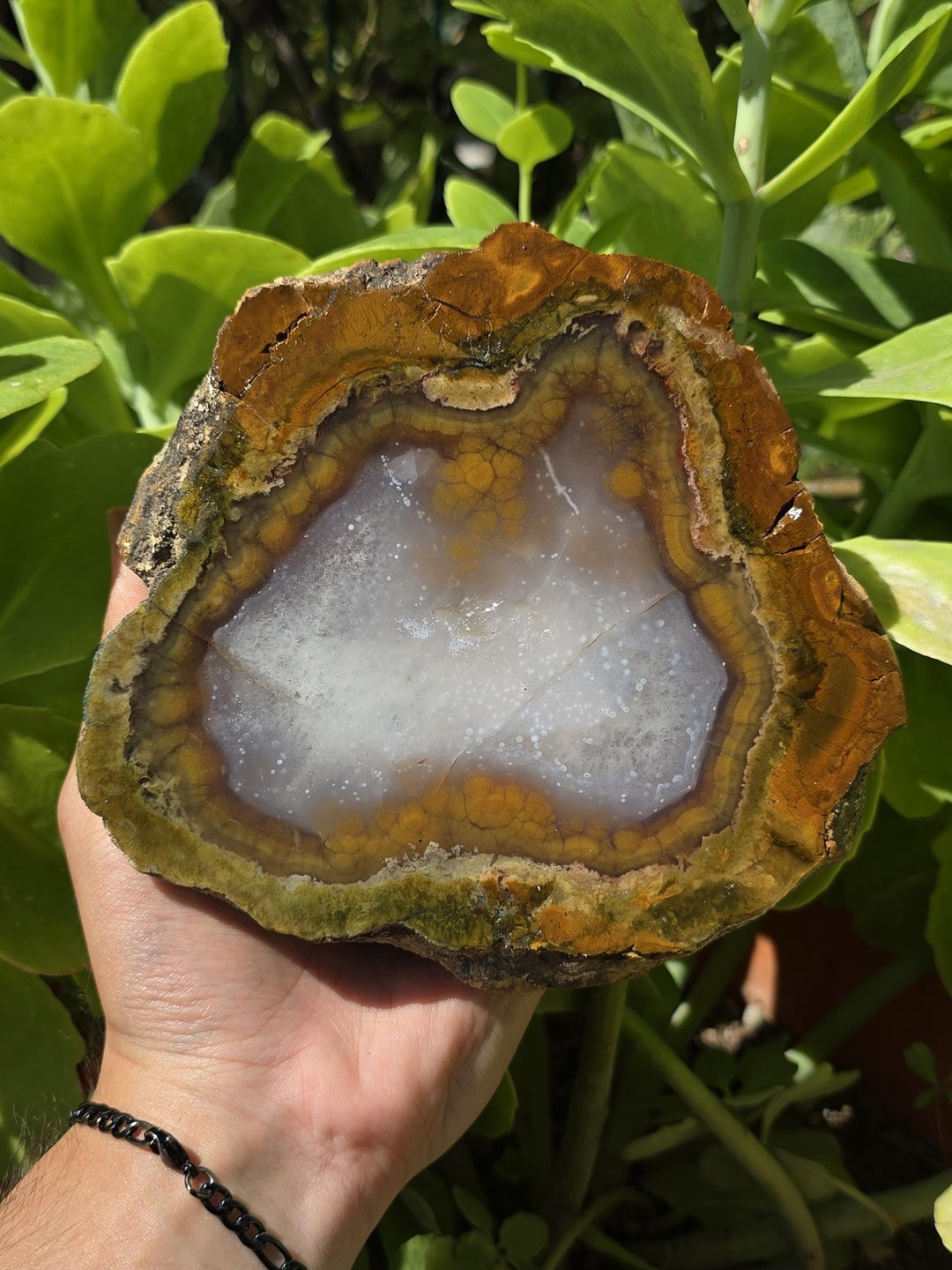 Large Yellow Banded and Flower Turkish Agate, Metaphysical Crystals ...