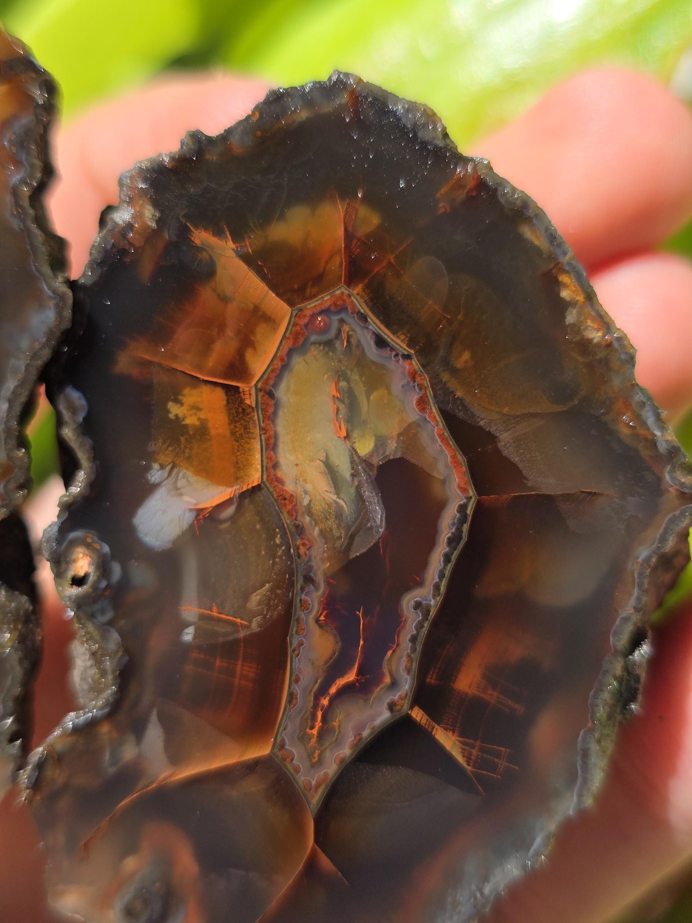 Fish View Stone, Red Banded Agate, Metaphysical Crystals, Polished ...