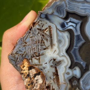 Blue Banded and Sagenite Agate, Fortification Agate, Rocks and Minerals ...