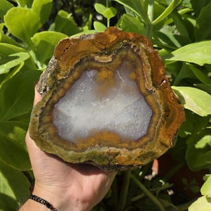 Large Yellow Banded and Flower Turkish Agate, Metaphysical Crystals ...