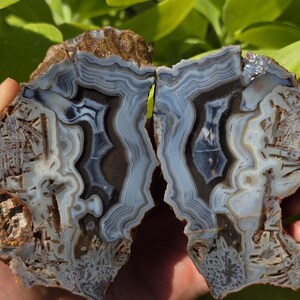 Blue Banded and Sagenite Agate, Fortification Agate, Rocks and Minerals ...
